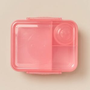 Bento Lunch Box | Target Australia