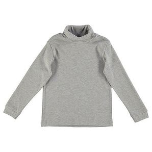 Long Sleeve Roll Neck Skivvy - Grey Marle | Target Australia