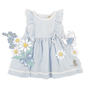 Peter Rabbit Baby Striped Dress | Target Australia