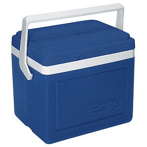 Esky 6 Litre Snackmate Cooler | Target Australia