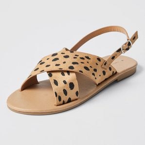 Leopard Sandal | Target Australia