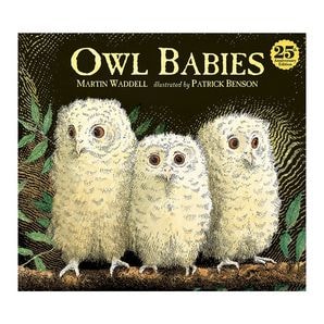 Owl Babies 25Th Ann Board Book - Martin Waddell | Target Australia