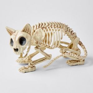Halloween Skeleton | Target Australia
