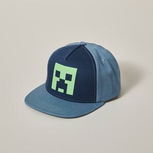 Minecraft Licensed Cap | Target Australia
