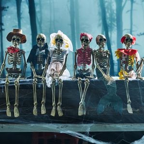Halloween Dress Up Skeletons - Assorted | Target Australia
