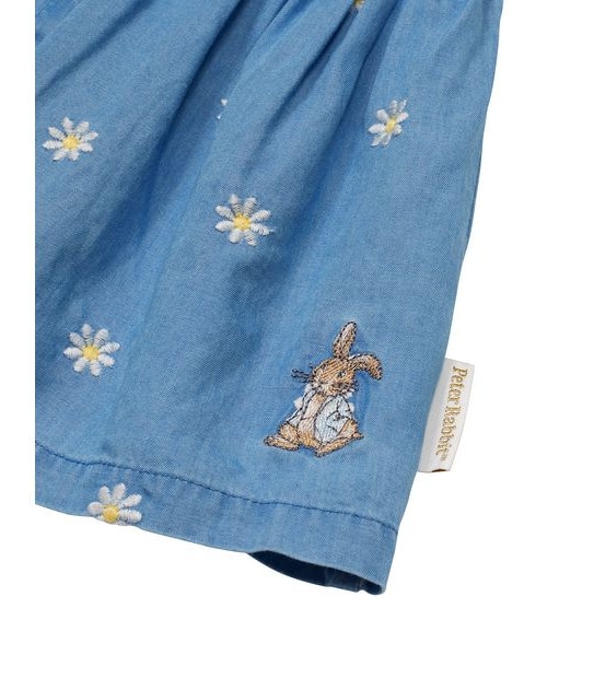 Baby Peter Rabbit Chambray Dress | Target Australia