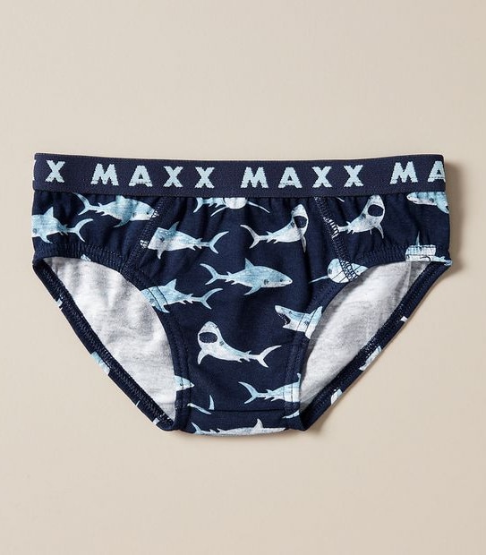 Maxx 5 Pack Briefs | Target Australia