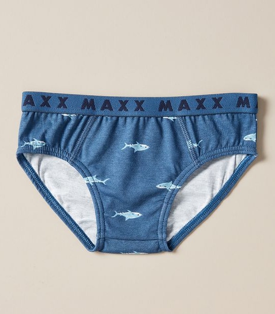 Maxx 5 Pack Briefs | Target Australia