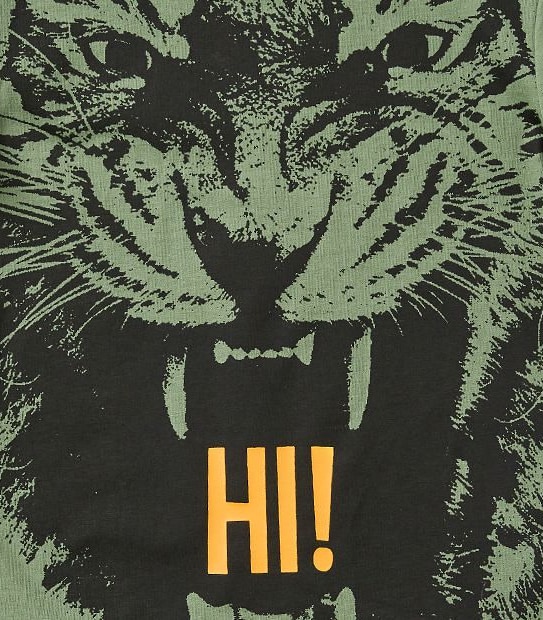 Short Sleeve Tiger 'Hi!' Print T-Shirt | Target Australia