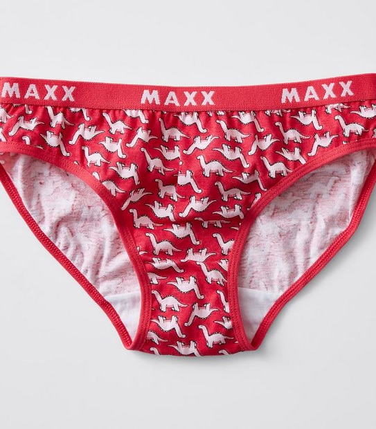 Maxx 5 Pack Briefs | Target Australia