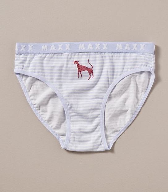 5 Pack Maxx Briefs | Target Australia