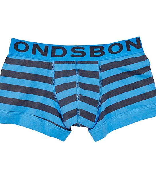 Bonds Fit Trunks - Blue Stripes | Target Australia