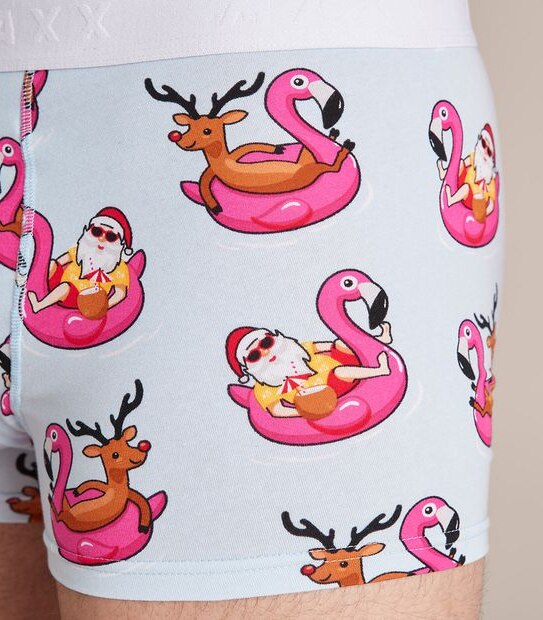 Maxx Flyfront Trunks - Santa | Target Australia
