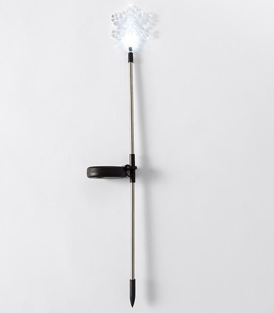 Solar Garden Stake - Assorted | Target Australia