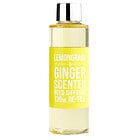 Reed Diffuser 100ml - Lemongrass and Ginger | Target Australia